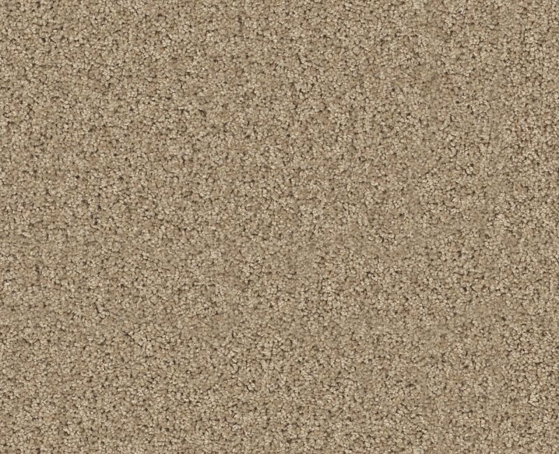Shaw Detailed Elegance III 00108 Clay Stone Carpet — Stone & Tile ...