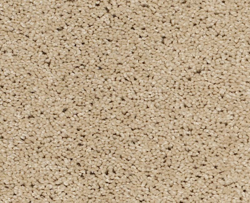 Shaw Detailed Elegance I 00126 Beach Walk Carpet — Stone & Tile Shoppe ...