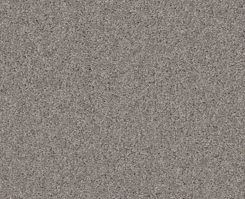 Shaw Detailed Elegance I 00550 Ash Carpet — Stone & Tile Shoppe, Inc.