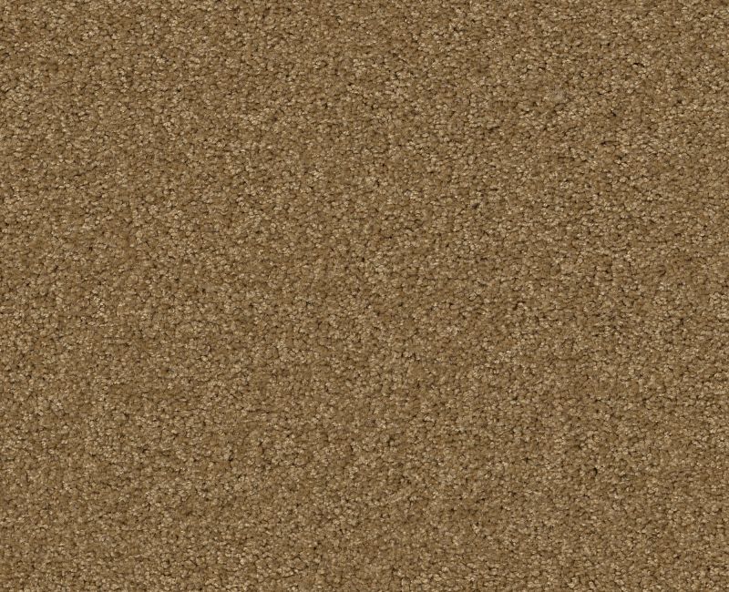 Shaw Detailed Elegance I 00722 Honey Pot Carpet — Stone & Tile Shoppe, Inc.