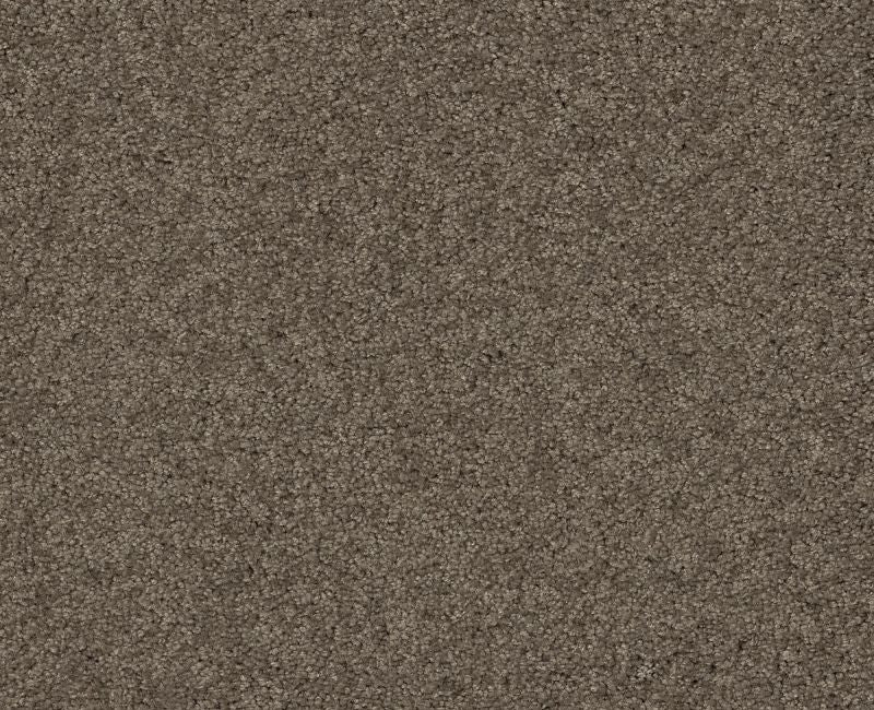 Shaw Detailed Elegance I 00751 Flax Carpet — Stone & Tile Shoppe, Inc.