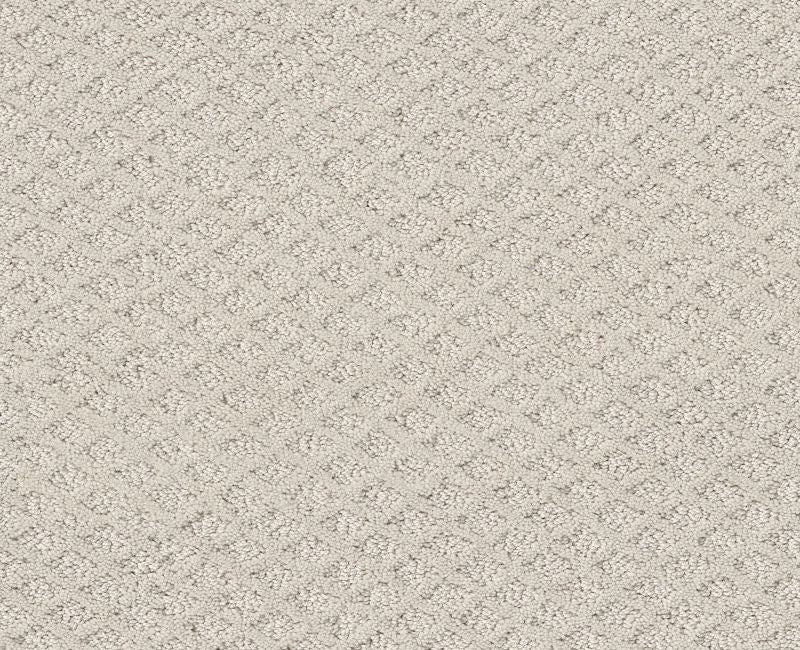 Shaw Final Thought 00102 Winters Dawn Carpet — Stone & Tile Shoppe, Inc.