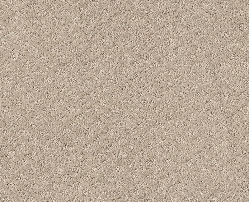 Shaw Final Thought 00107 Butter Cream Carpet — Stone & Tile Shoppe, Inc.