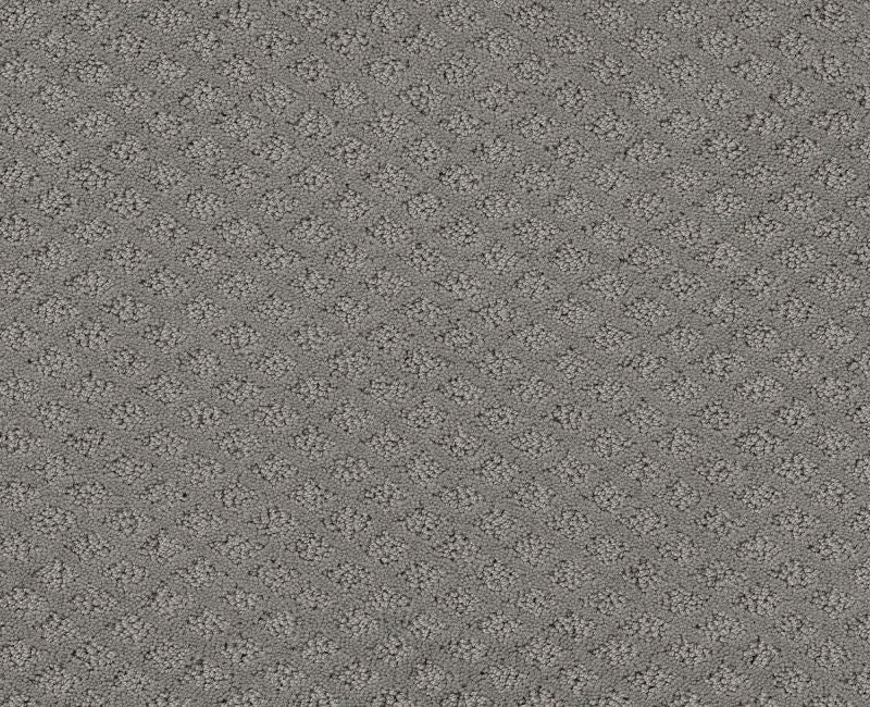 Shaw Final Thought 00504 Grey Fox Carpet — Stone & Tile Shoppe, Inc.