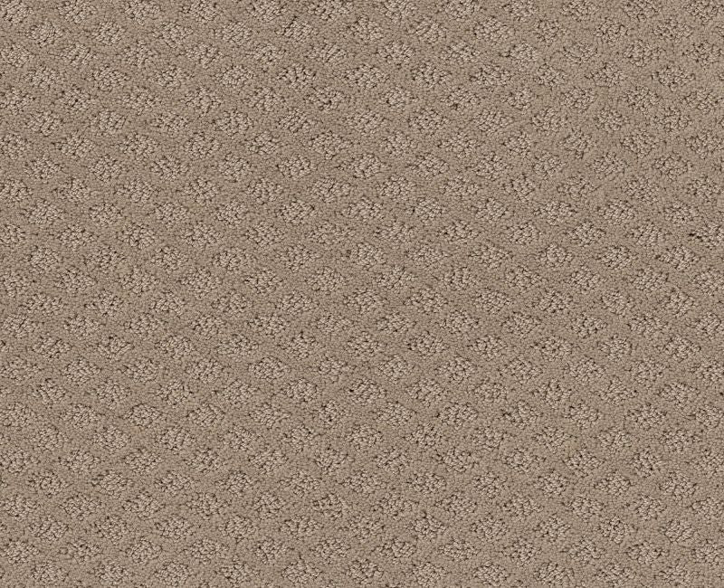 Shaw Final Thought 00701 Desert View Carpet — Stone & Tile Shoppe, Inc.