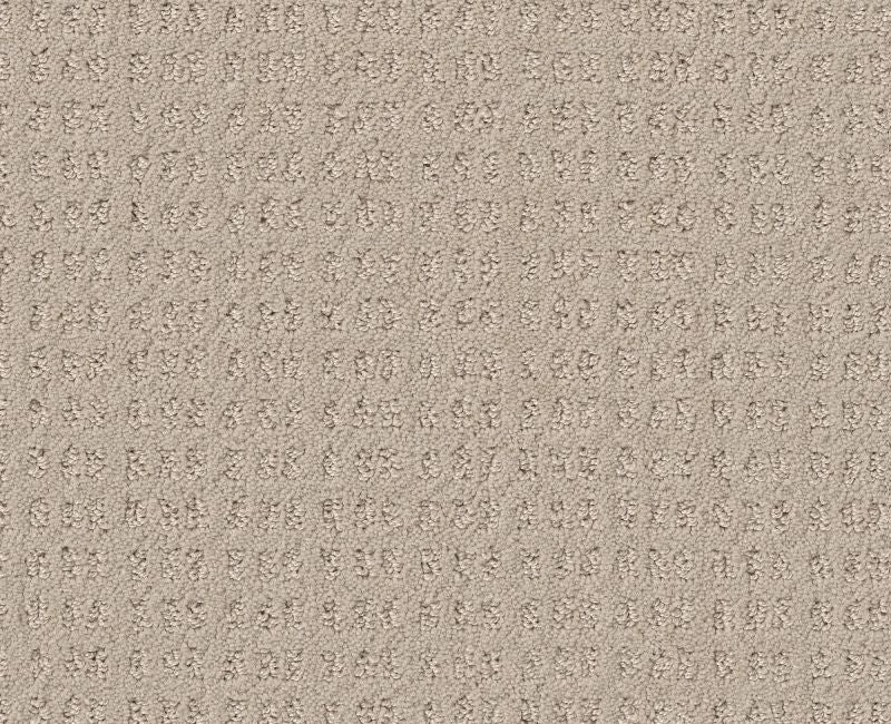 Shaw Now Or Never 00107 Butter Cream Carpet — Stone & Tile Shoppe, Inc.