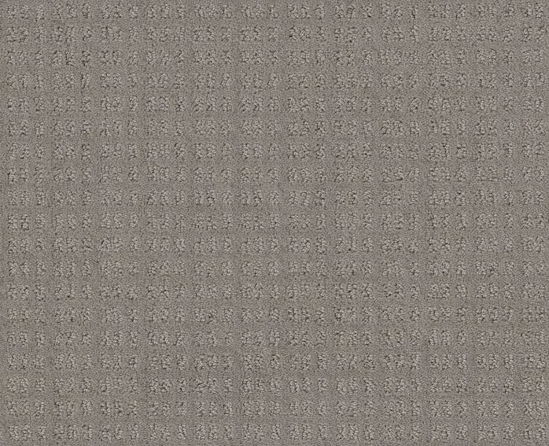 Shaw Now Or Never 00700 River Run Carpet — Stone & Tile Shoppe, Inc.