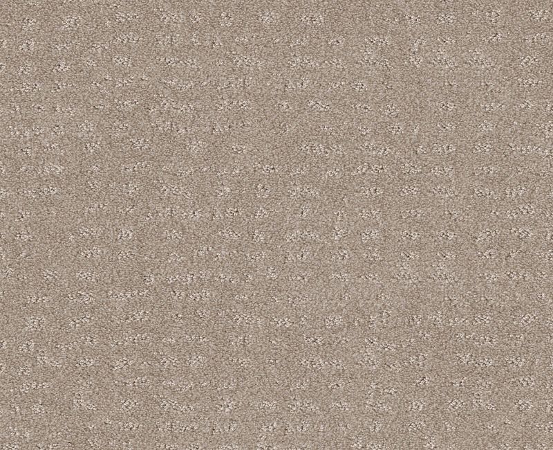 Shaw Latest Thing 00107 Butter Cream Carpet — Stone & Tile Shoppe, Inc.