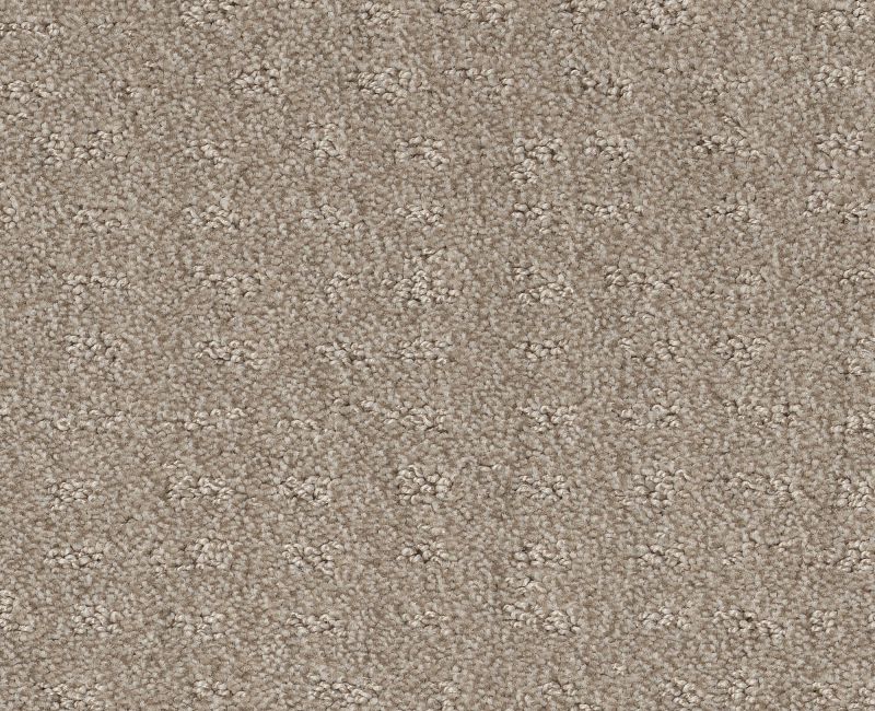 Shaw Latest Thing 00108 Fossil Path Carpet — Stone & Tile Shoppe, Inc.