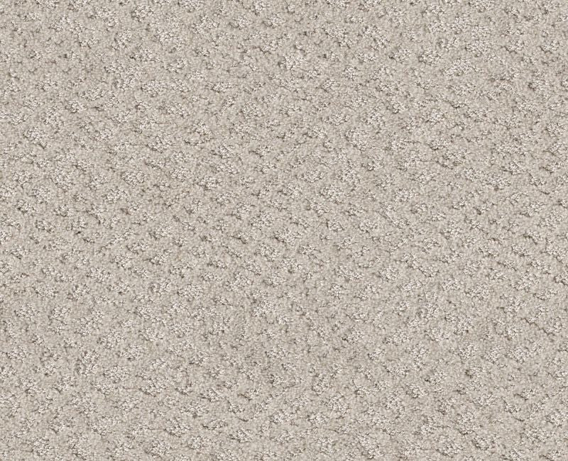 Shaw Mod Beauty 00101 Serene Still Carpet — Stone & Tile Shoppe, Inc.