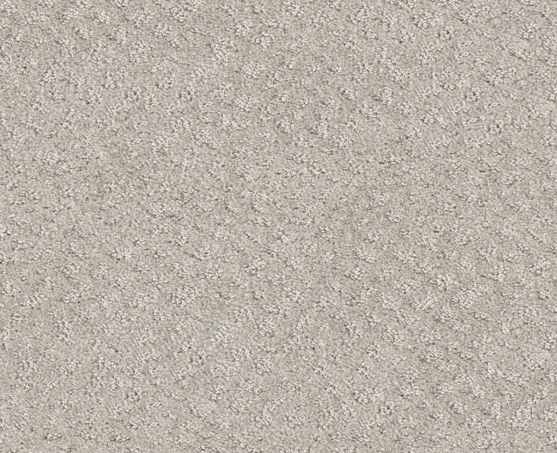 Shaw Mod Beauty 00102 Winters Dawn Carpet — Stone & Tile Shoppe, Inc.