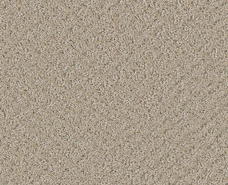 Shaw Mod Beauty 00107 Butter Cream Carpet — Stone & Tile Shoppe, Inc.