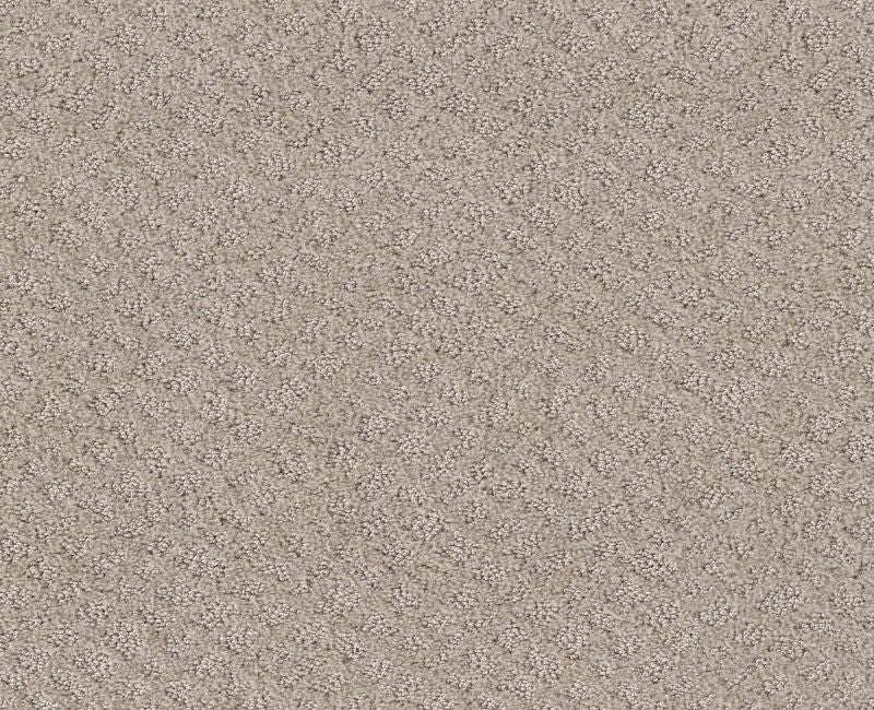 Shaw Mod Beauty 00108 Fossil Path Carpet — Stone & Tile Shoppe, Inc.