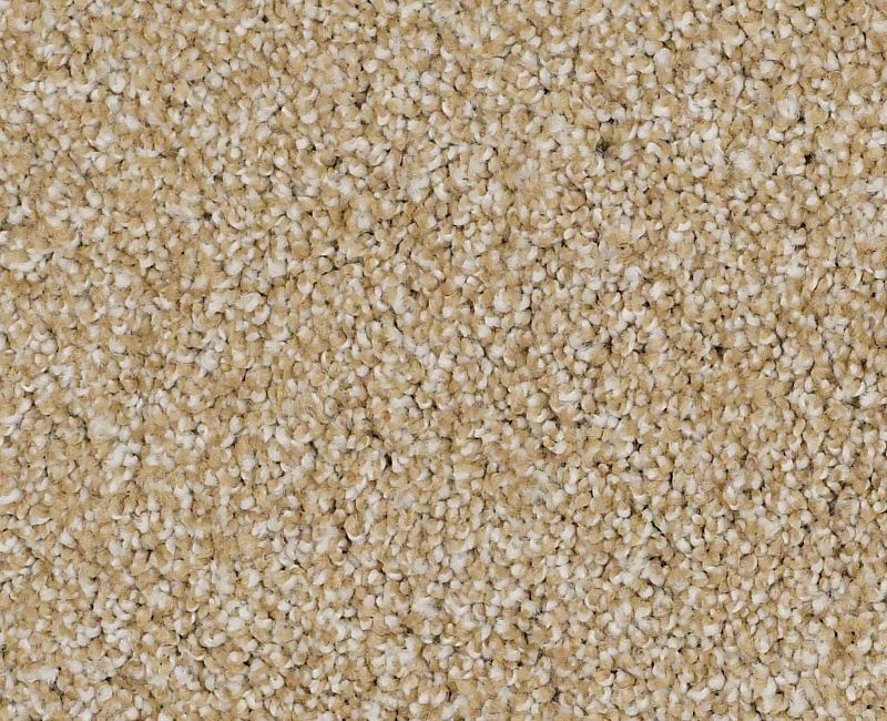 Shaw Always On Time 00290 Gold Rush Carpet — Stone & Tile Shoppe, Inc.