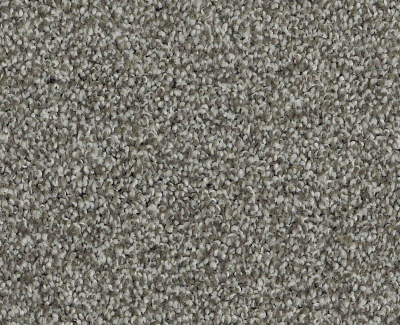 Shaw Always On Time 00593 Washed Gray Carpet — Stone & Tile Shoppe, Inc.