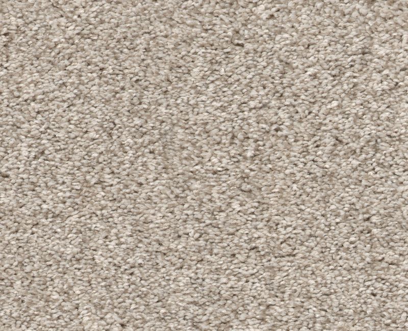 Shaw Calm Embrace II 00103 Washed Linen Carpet — Stone & Tile Shoppe, Inc.