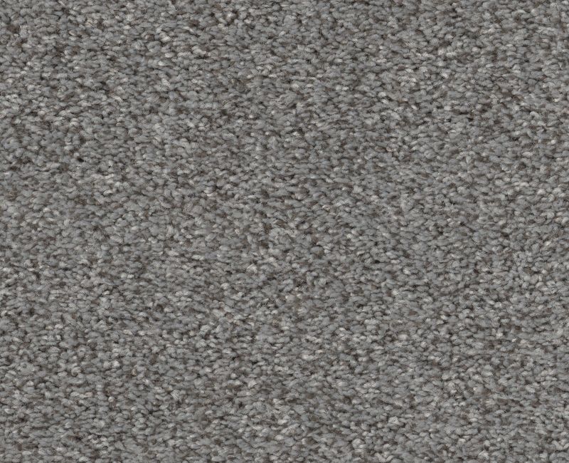 Shaw Calm Embrace II 00503 Harbor Dock Carpet — Stone & Tile Shoppe, Inc.