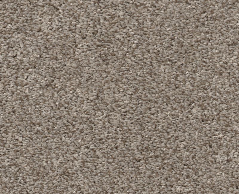 Shaw Calm Embrace I 00702 Dark Maple Carpet — Stone & Tile Shoppe, Inc.