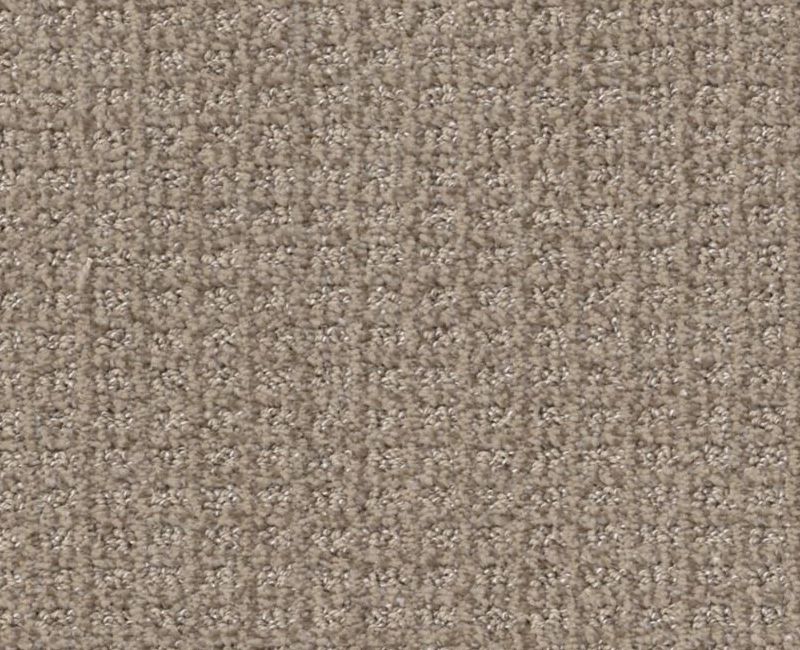 Shaw Stay Tuned 00101 French Linen Carpet — Stone & Tile Shoppe, Inc.