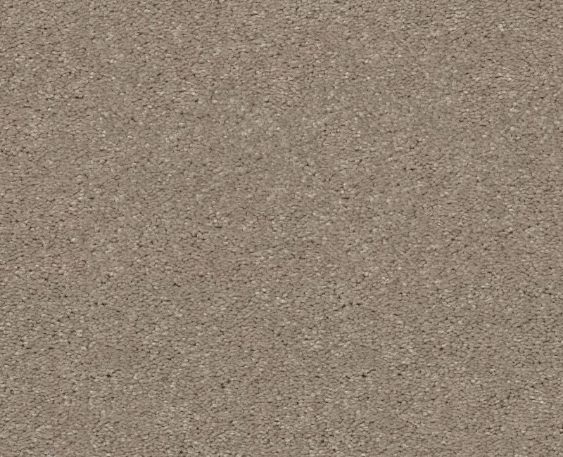 Shaw Finders Keepers 0101S Pebble Path Carpet — Stone & Tile Shoppe, Inc.
