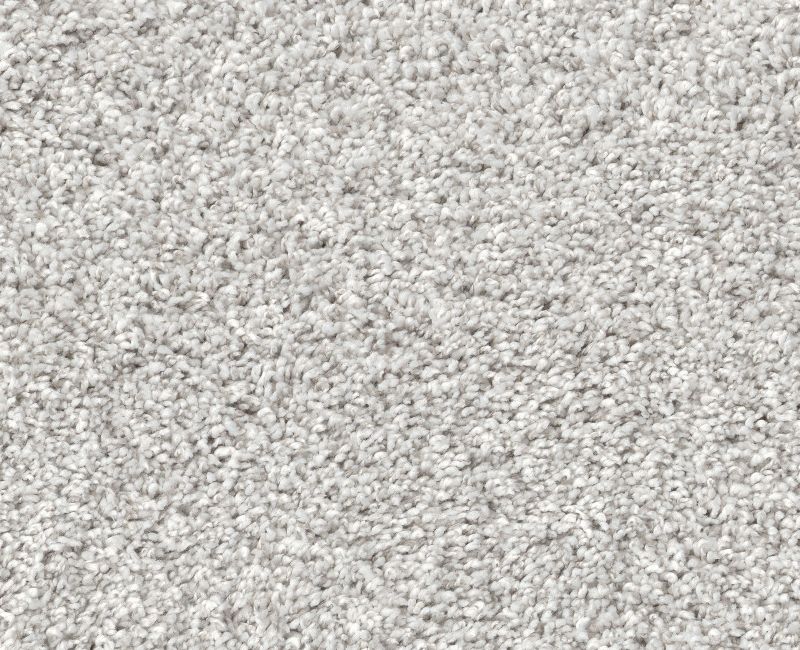 Shaw Quiet Excuse 00100 Snow Cap Carpet — Stone & Tile Shoppe, Inc.