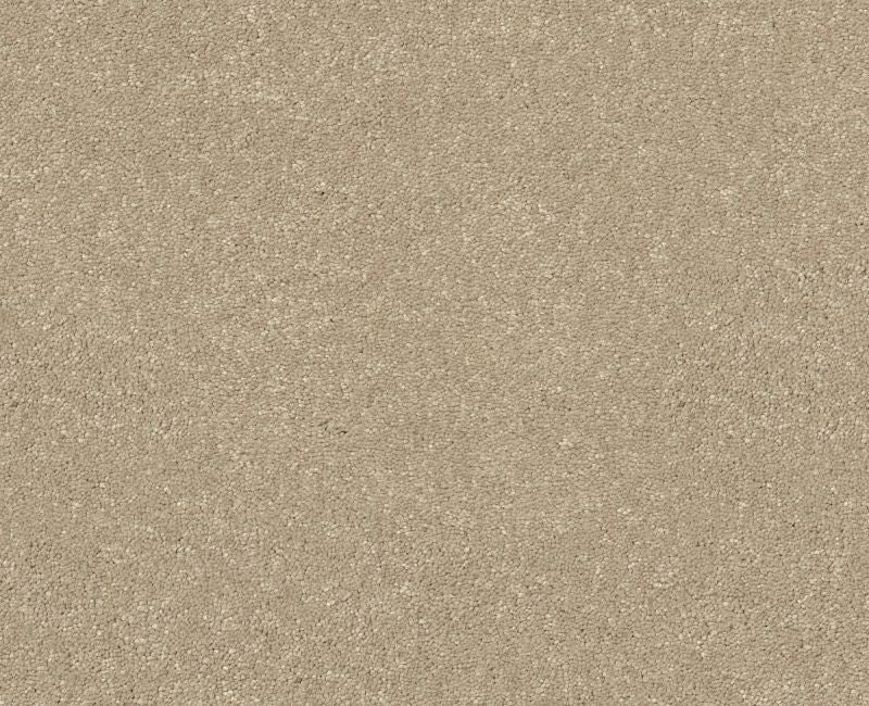 Shaw Relentless I 15 00102 Raw Lumber Carpet — Stone & Tile Shoppe, Inc.