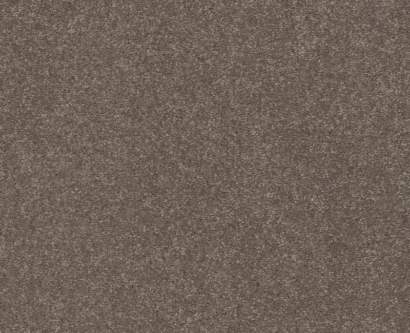 Shaw Relentless III 12 00701 Pewter Carpet — Stone & Tile Shoppe, Inc.