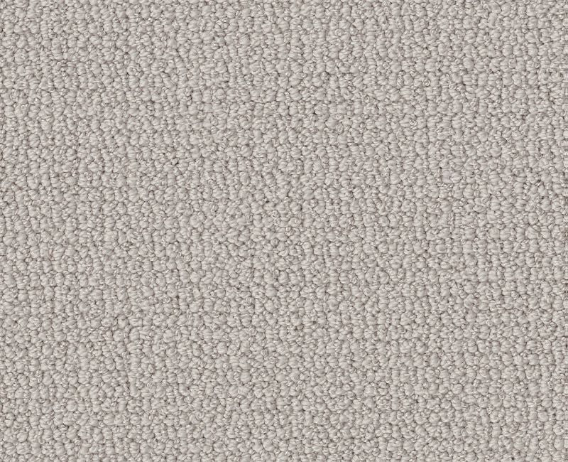 Shaw Devious Look 00111 Aircraft Carpet — Stone & Tile Shoppe, Inc.
