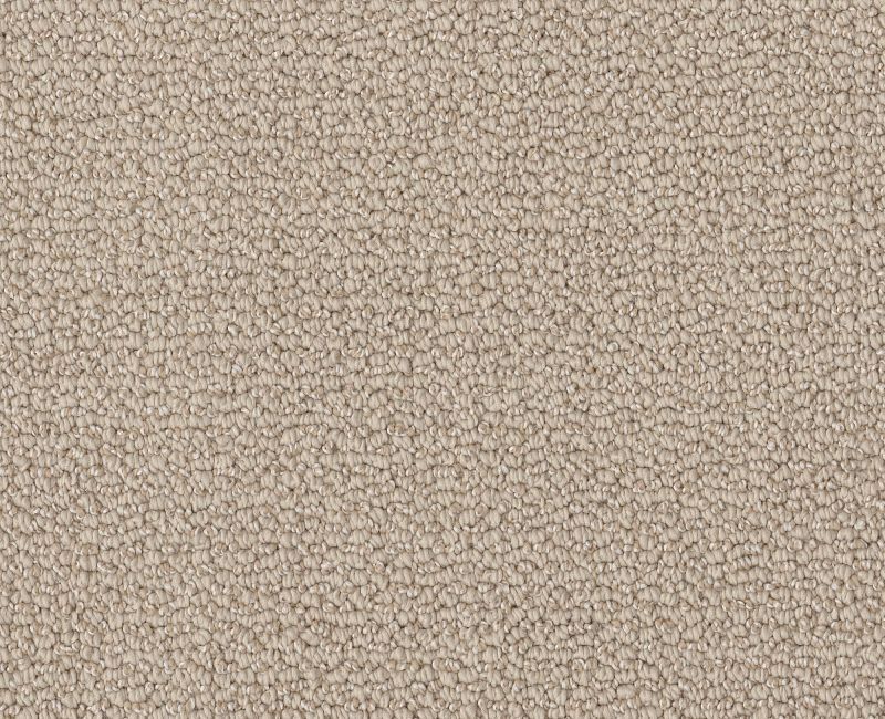 Shaw Devious Look 00117 Malibu Dune Carpet — Stone & Tile Shoppe, Inc.