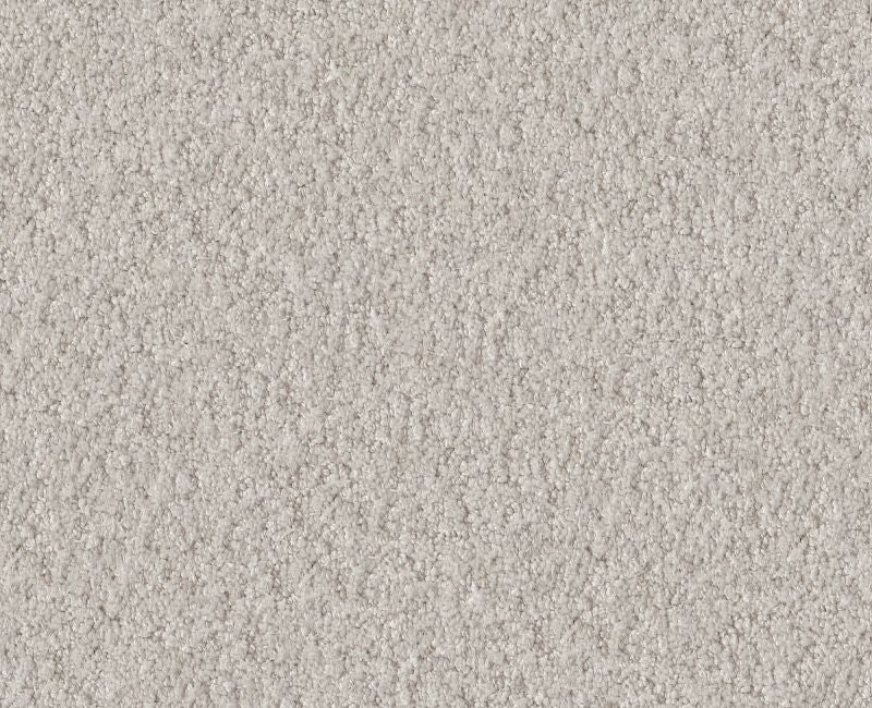 Shaw Showy 00102 Winters Dawn Carpet — Stone & Tile Shoppe, Inc.