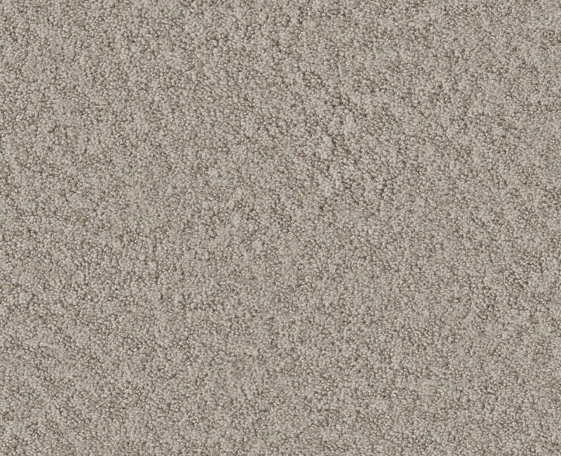 Shaw Showy 00108 Fossil Path Carpet — Stone & Tile Shoppe, Inc.