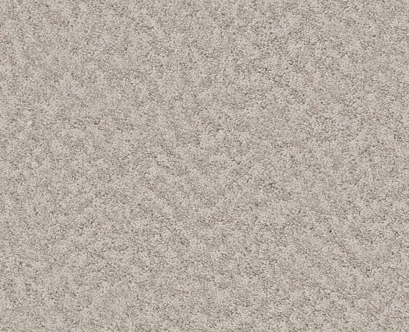 Shaw Showy 00128 Baltic Stone Carpet — Stone & Tile Shoppe, Inc.