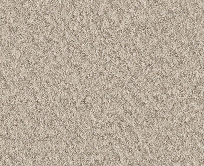 Shaw Showy 00743 Sandstone Carpet — Stone & Tile Shoppe, Inc.