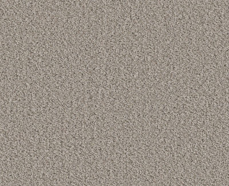 Shaw Rare Find 00108 Fossil Path Carpet — Stone & Tile Shoppe, Inc.