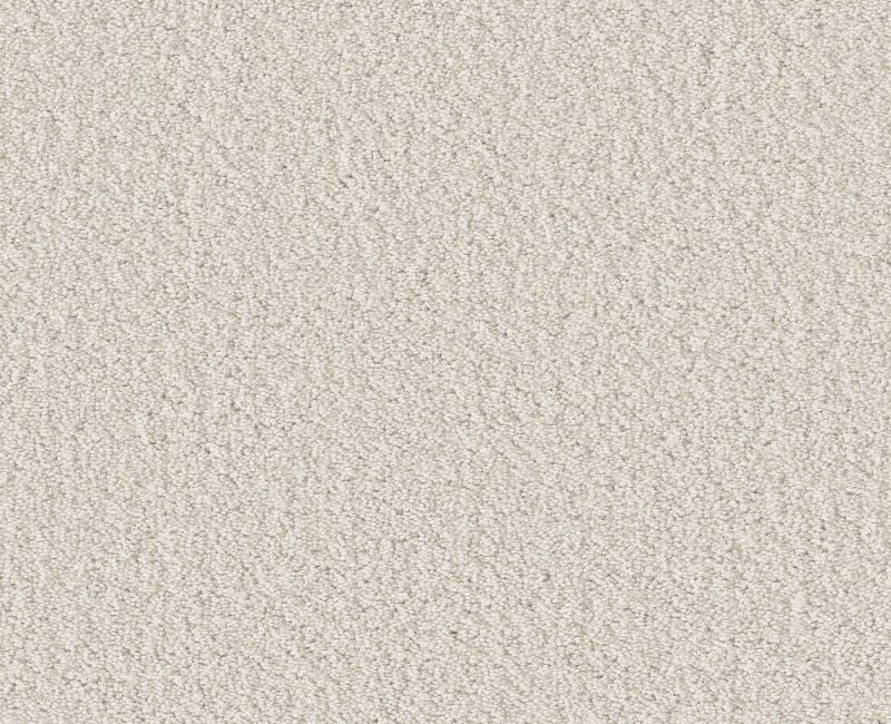 Shaw Rare Find 00153 Champagne Toast Carpet — Stone & Tile Shoppe, Inc.