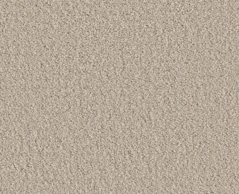 Shaw Rare Find 00743 Sandstone Carpet — Stone & Tile Shoppe, Inc.