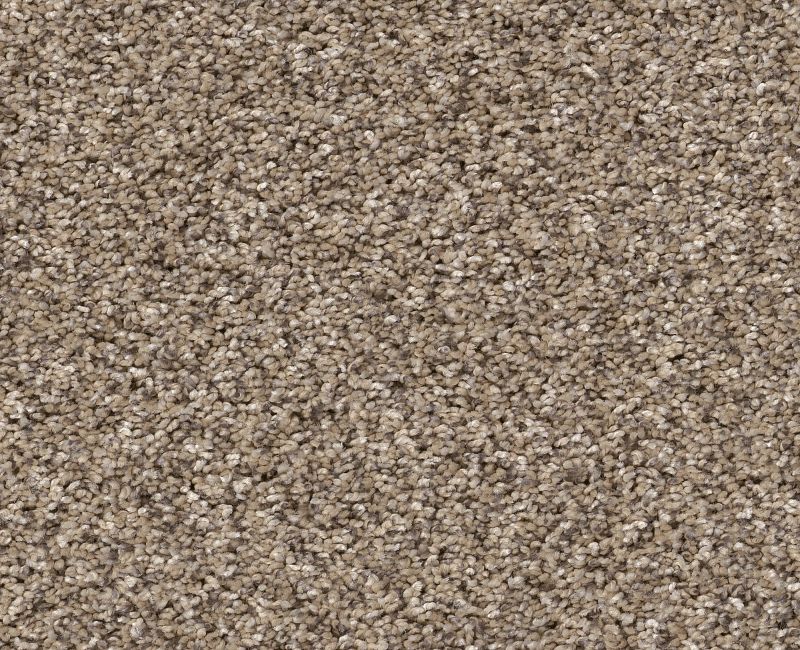 Shaw Bending The Rules I 12 00100 Sea Shell Carpet — Stone & Tile ...