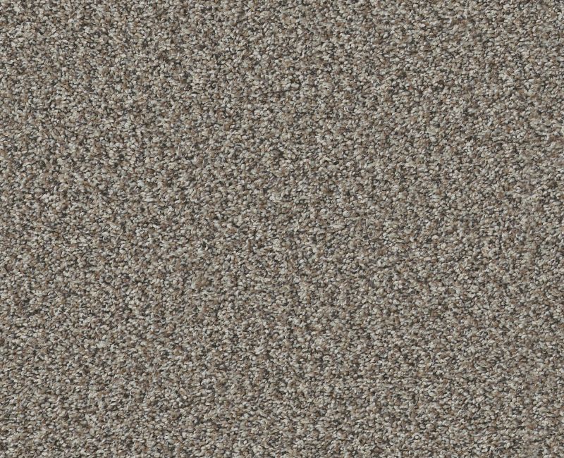 Shaw Bending The Rules I 12 00111 Chic Greige Carpet — Stone & Tile Shoppe, Inc.