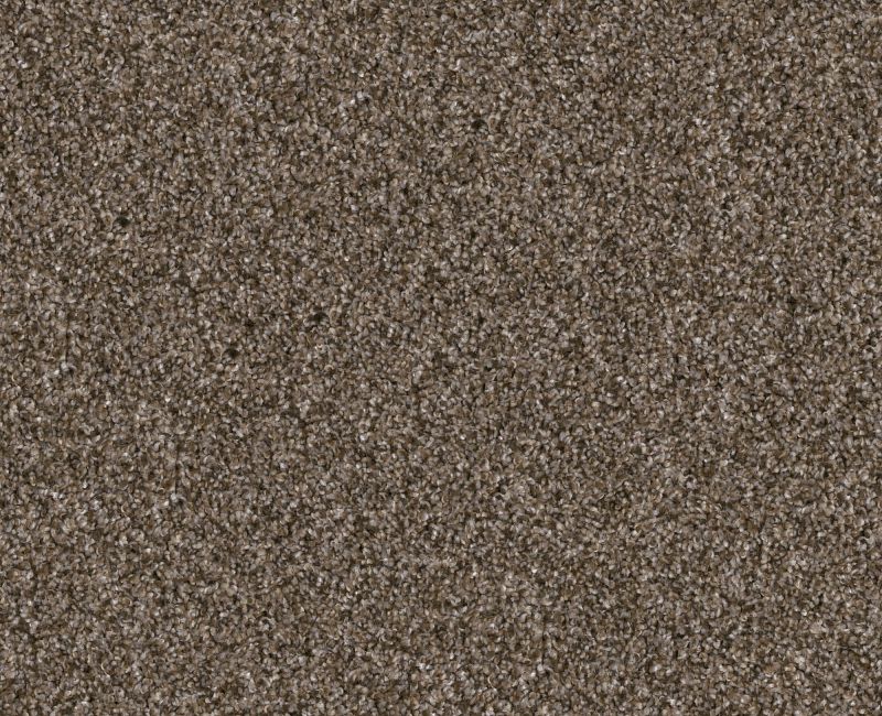 Shaw Bending The Rules II 12 00705 Mission Ridge Carpet — Stone & Tile ...