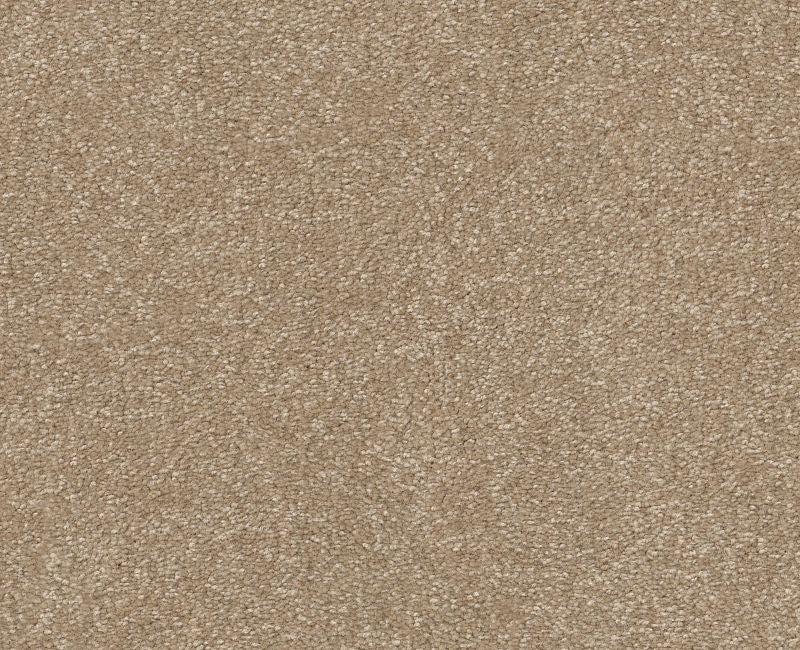 Shaw Off The Leash II 15 00700 Worn Path Carpet — Stone & Tile Shoppe, Inc.