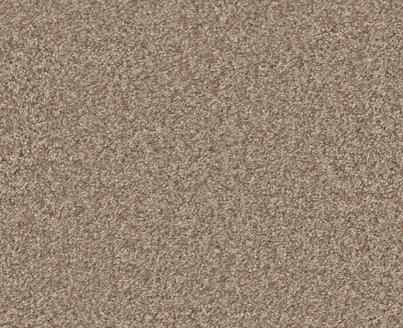 Shaw Big News II 00700 Worn Path Carpet — Stone & Tile Shoppe, Inc.