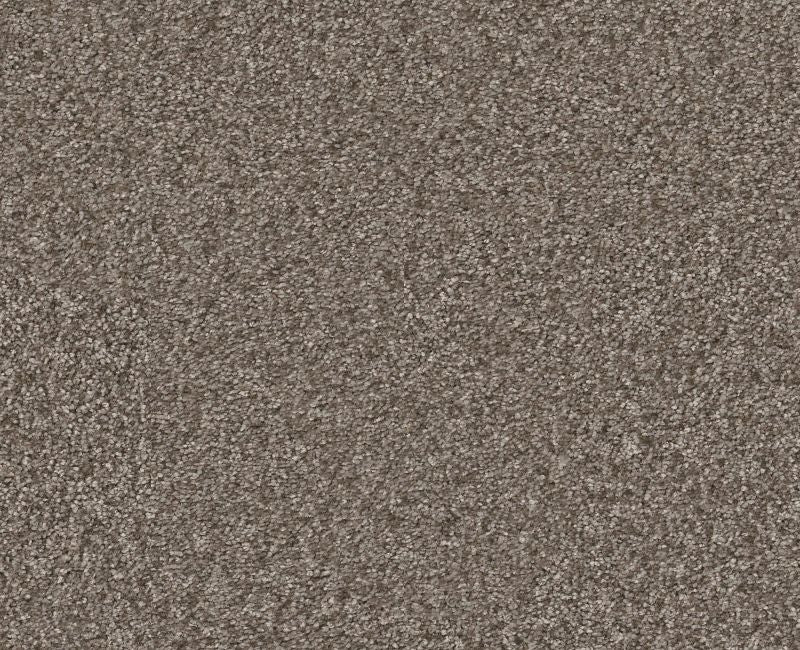 Shaw Big News I 00750 Cobblestone Carpet — Stone & Tile Shoppe, Inc.