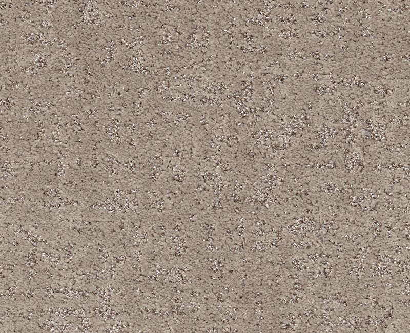 Shaw Going Home 00111 Chic Greige Carpet — Stone & Tile Shoppe, Inc.