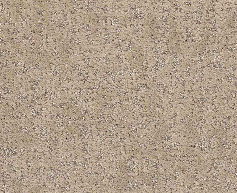 Shaw Going Home 00700 Worn Path Carpet — Stone & Tile Shoppe, Inc.