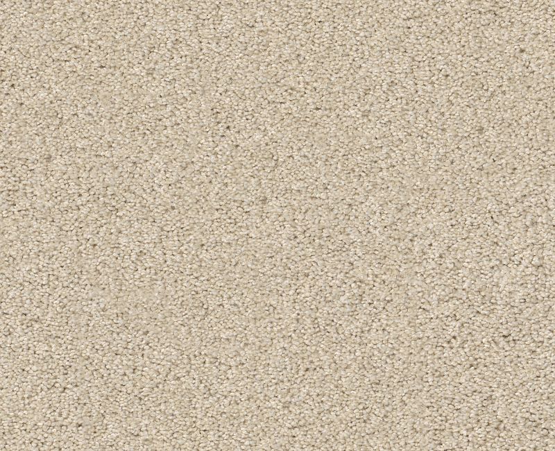Shaw Inspire Me II 00110 Natural Cotton Carpet — Stone & Tile Shoppe, Inc.