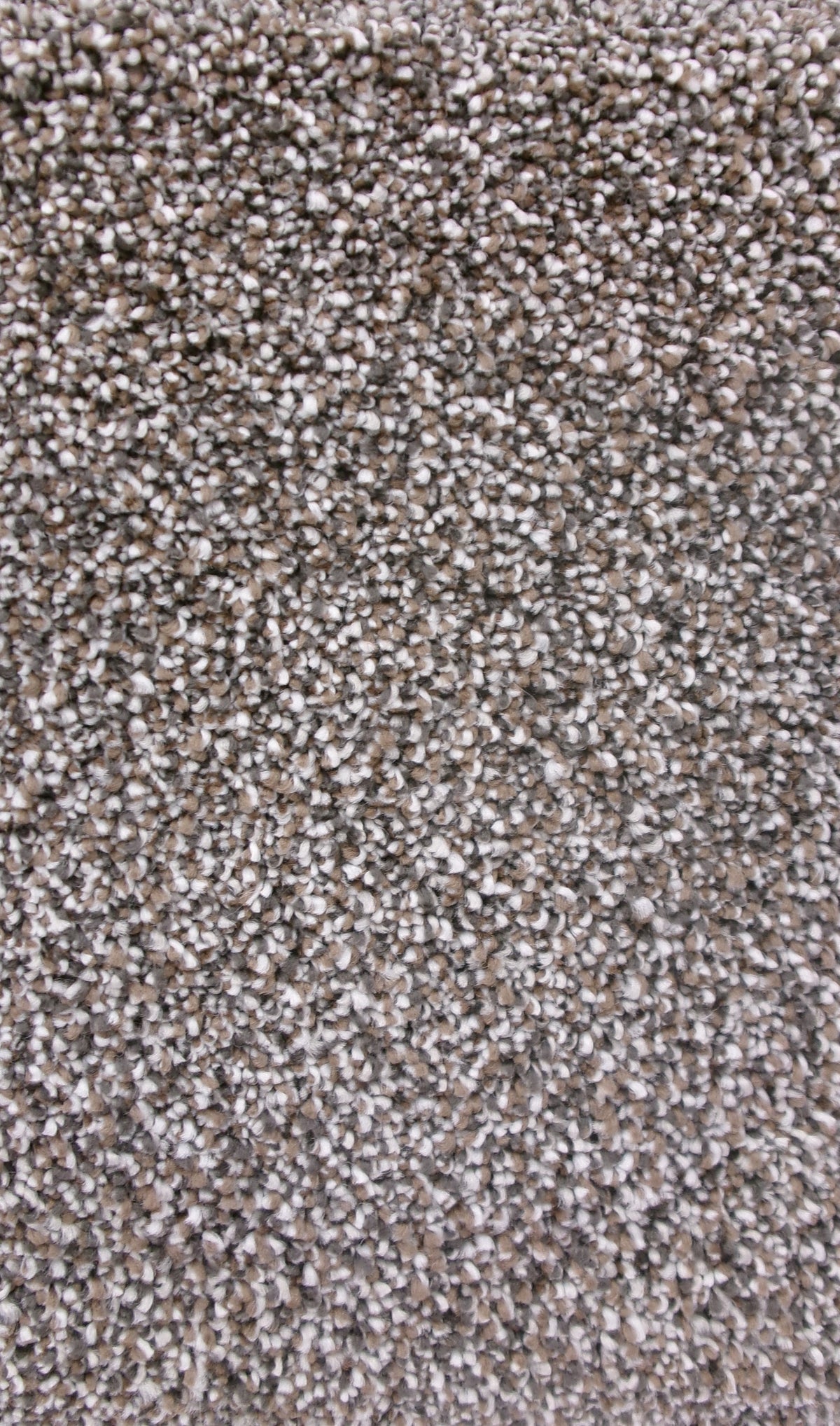 Revolution Mills Naples Sierra Polyester Carpet — Stone & Tile Shoppe, Inc.