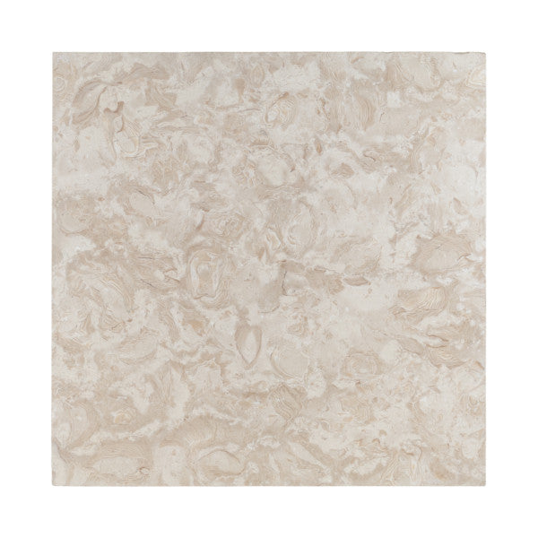 Full Paver Sample - Ocean Reef Shellstone Limestone Paver - 16" x 24 ...