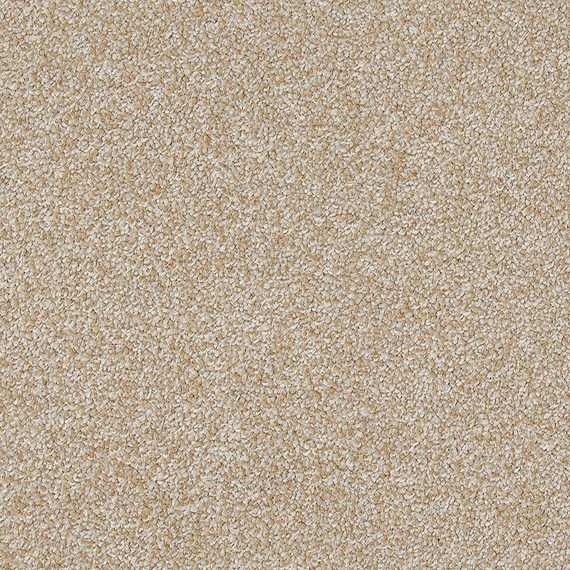 Mohawk SP961 752 Ancient Treasure Carpet — Stone & Tile Shoppe, Inc.