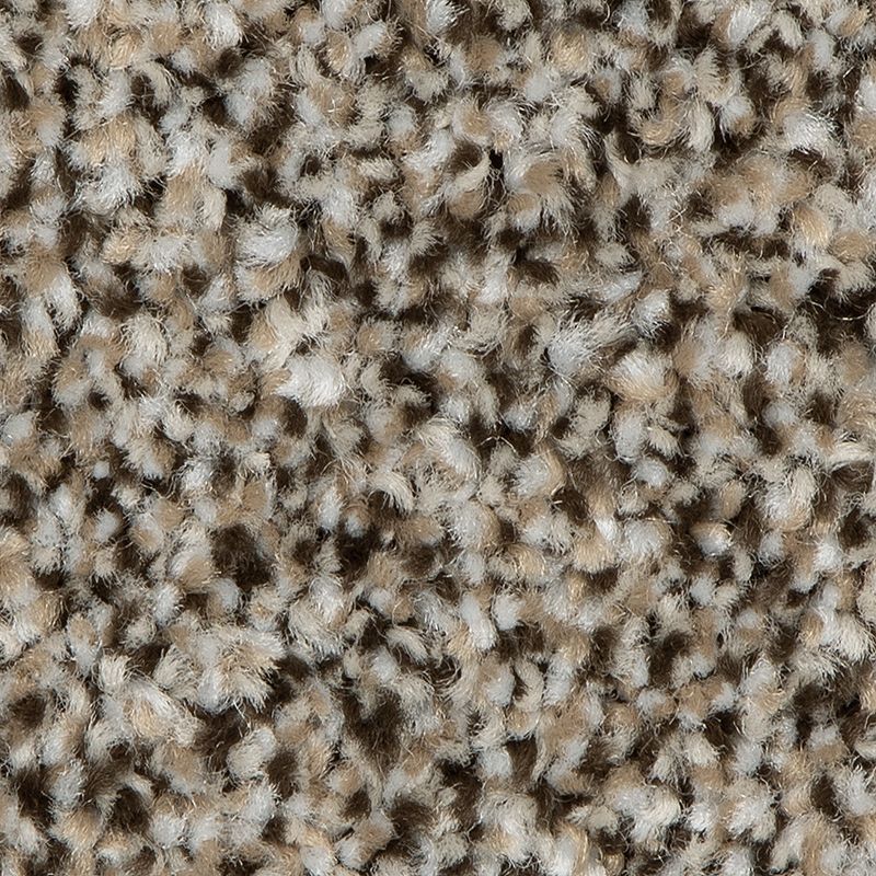 Mohawk Refreshing Shades 872 Salutation Carpet — Stone & Tile Shoppe, Inc.