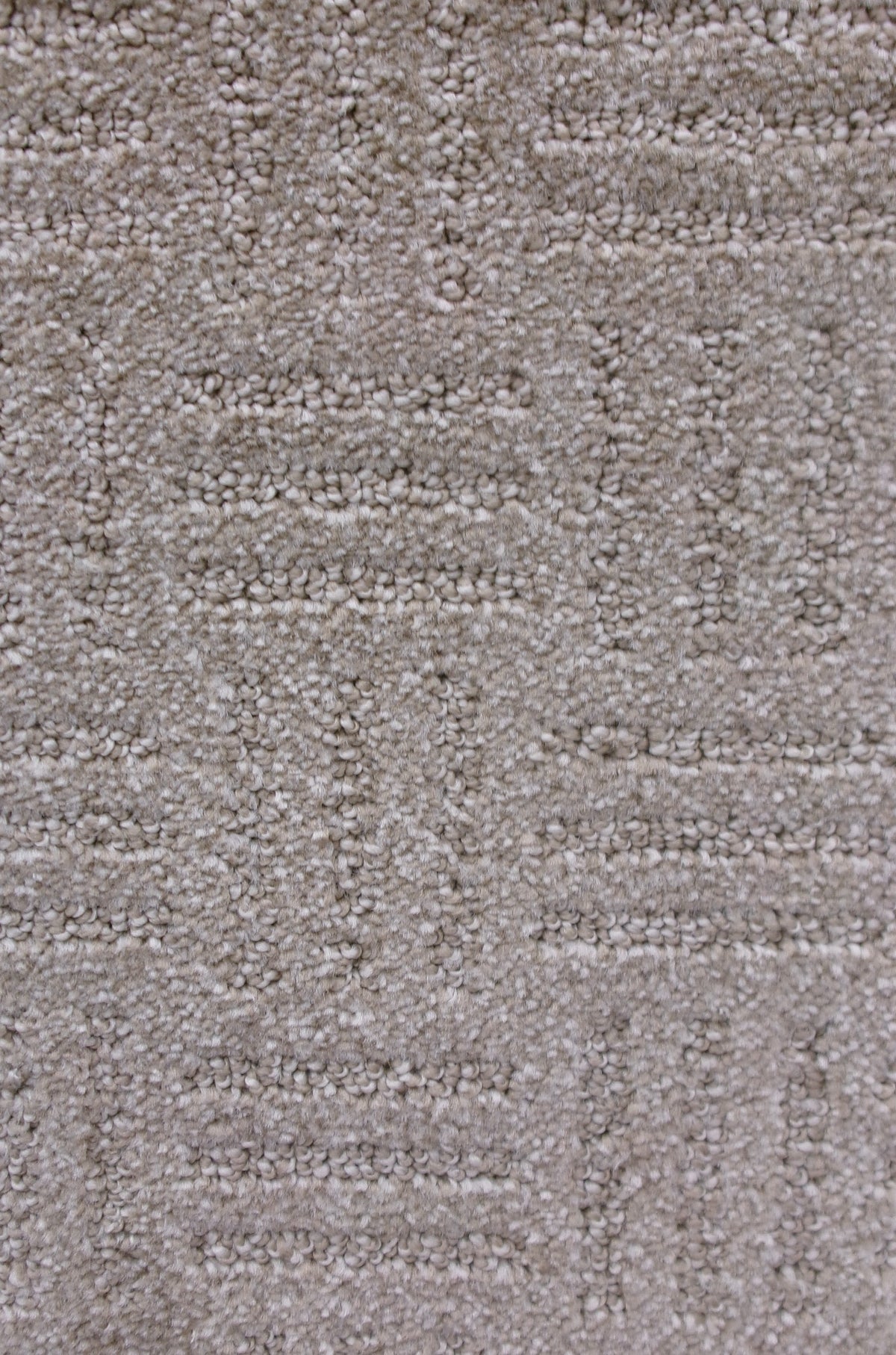 Revolution Mills Samoa Prairie Polyester Carpet — Stone & Tile Shoppe, Inc.